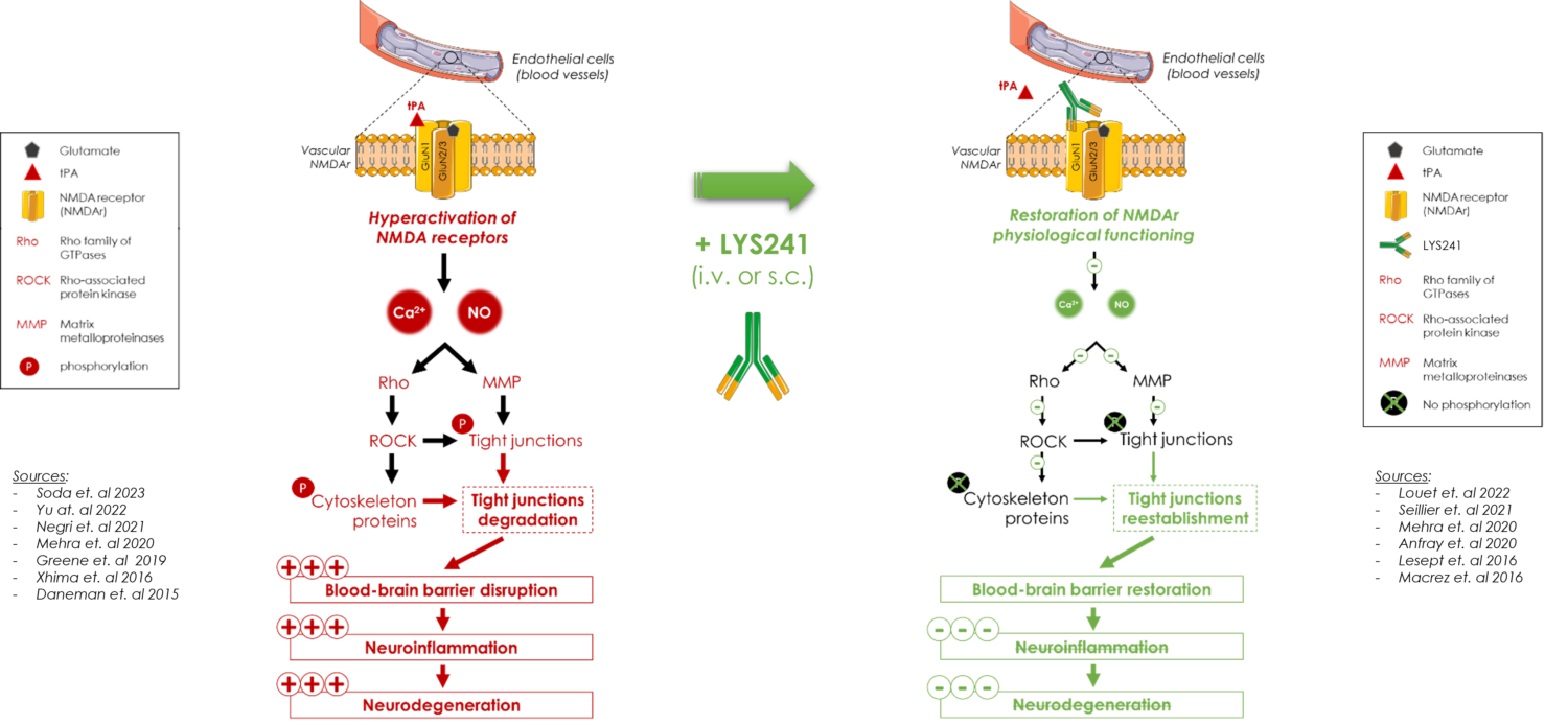 Home - Lys Therapeutics